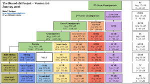 How to tell the relationship from the shared DNA | Kitty Cooper's Blog