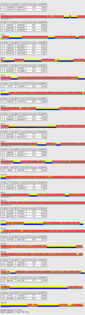 When the DNA says your parents are related | Kitty Cooper's Blog