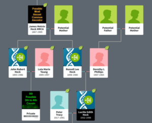 DNA2Tree: Build Trees from DNA Matches | Kitty Cooper's Blog