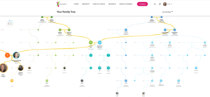 The 23andme Family Tree built from DNA | Kitty Cooper's Blog