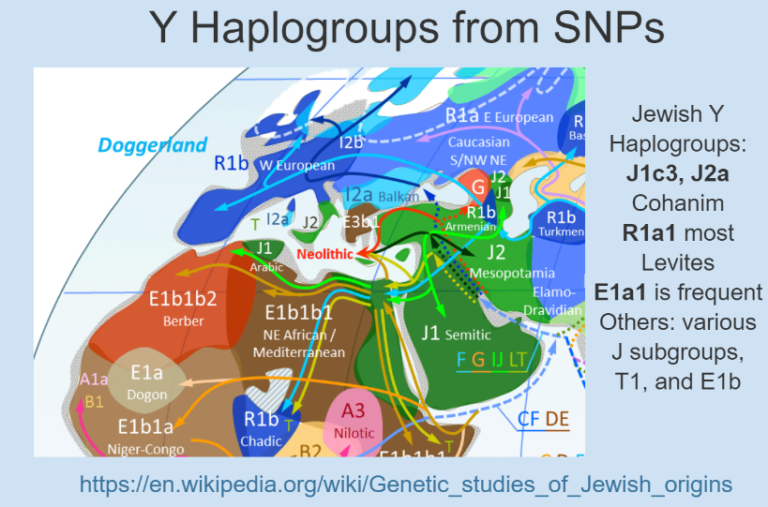 Jewish DNA | Kitty Cooper's Blog