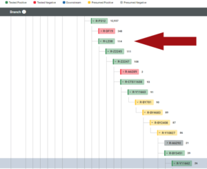 How to find your haplogroup and why do that? | Kitty Cooper's Blog